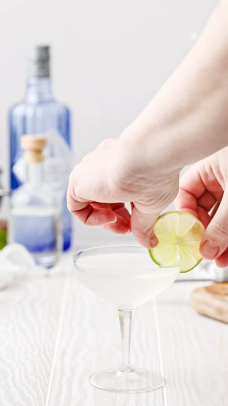 Gimlet Cocktail - A classic gin drink
