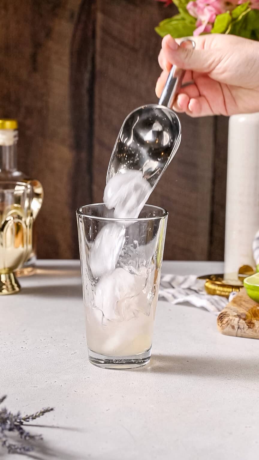 Lavender Mule