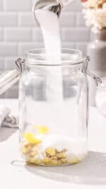 Ginger Shrub Recipe with Lemon