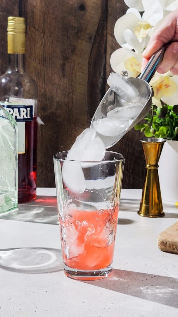 Jasmine Cocktail - Gin and Campari Cocktail Recipe
